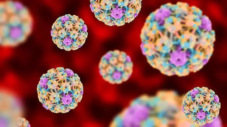 8 चीजहरू तपाईलाई HPV बारे थाहा नहुन सक्छ