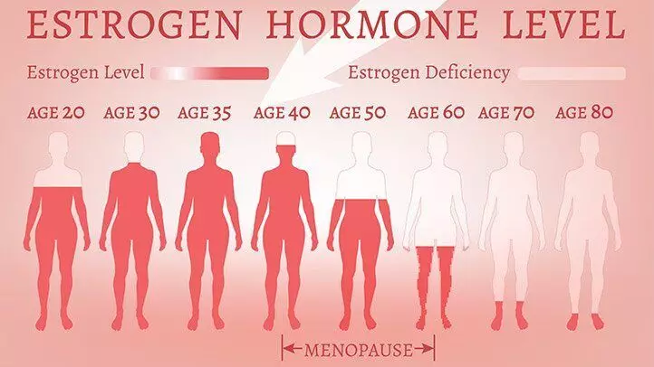 léaráid a thaispeánann leibhéil hormóin estrogen i mná ar feadh a saoil