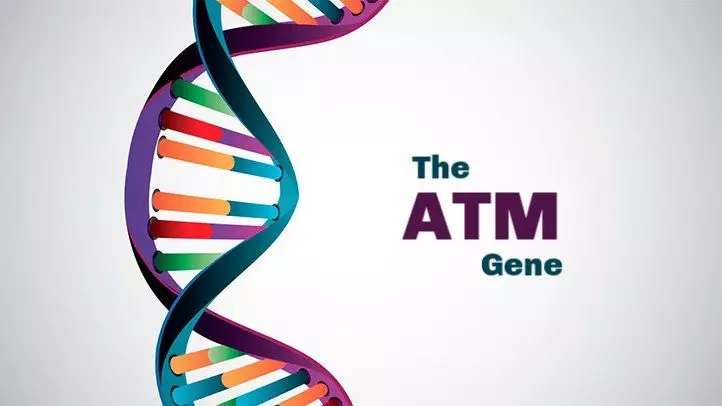 ATM gene