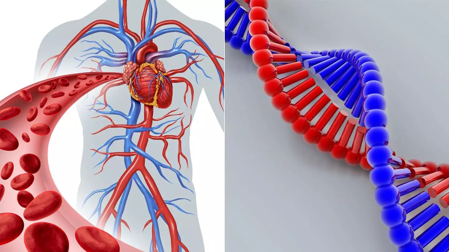 10 dingen die u moet weten over erfelijk hoog cholesterol en genetica