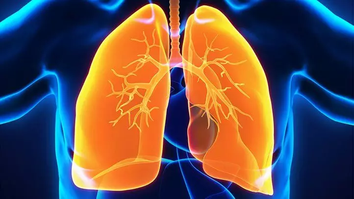 COPD च्या फुफ्फुस असलेल्या व्यक्तीचे चित्रण