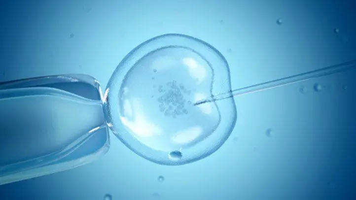 fertilização in vitro