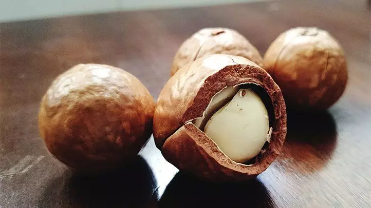 macadamia fruitu lehorrak, dieta ketogenikorako mokadu onak direnak