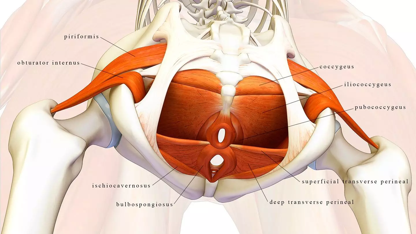 Pelvic-Floor-Physical-Therapy-for-MS-2-1440x810