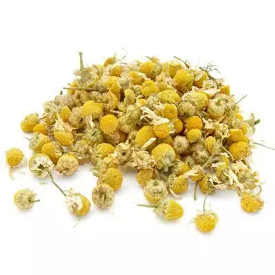 Chamomile