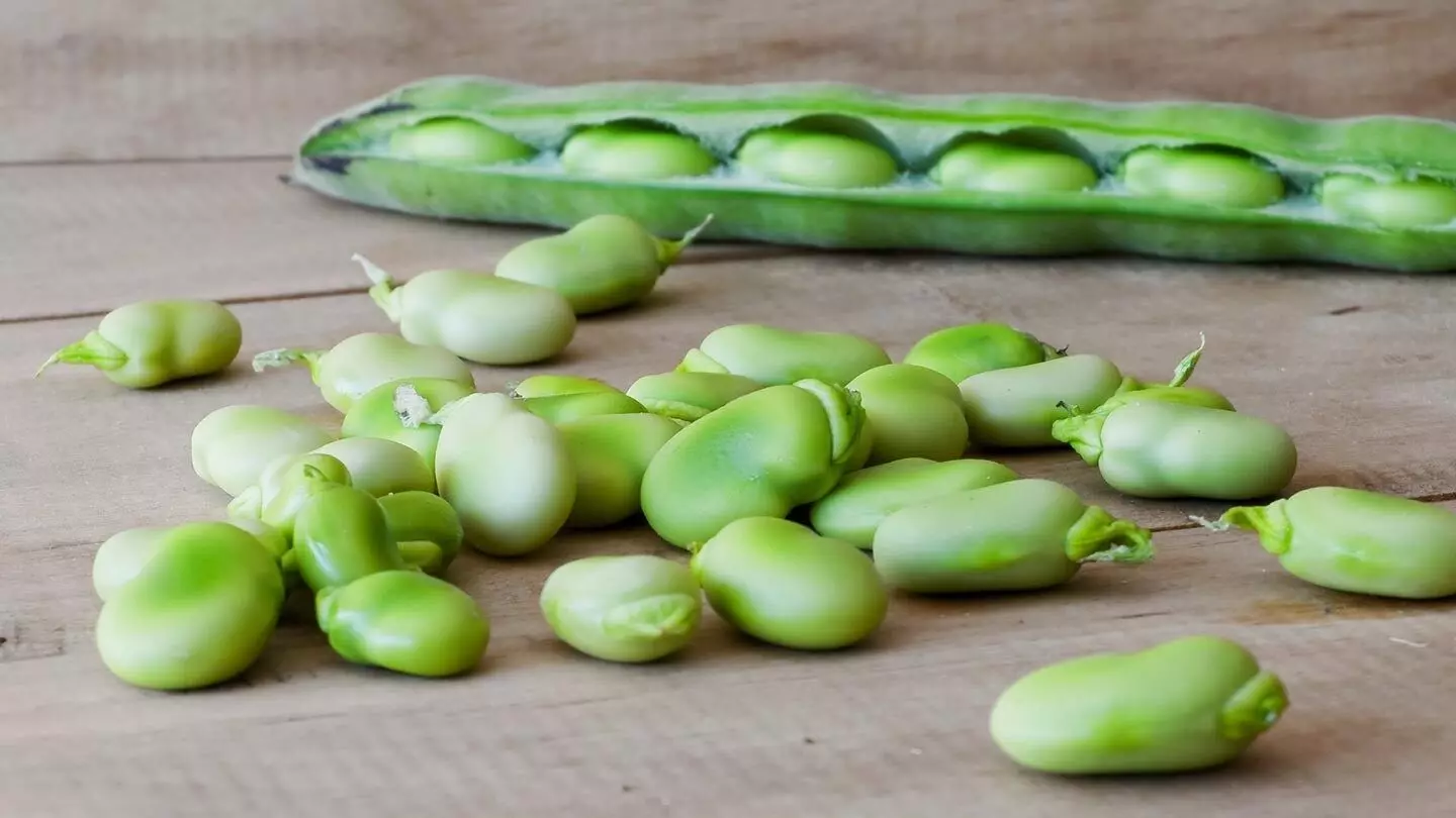 kacang buncis lima, sing bisa nurunake tekanan getih