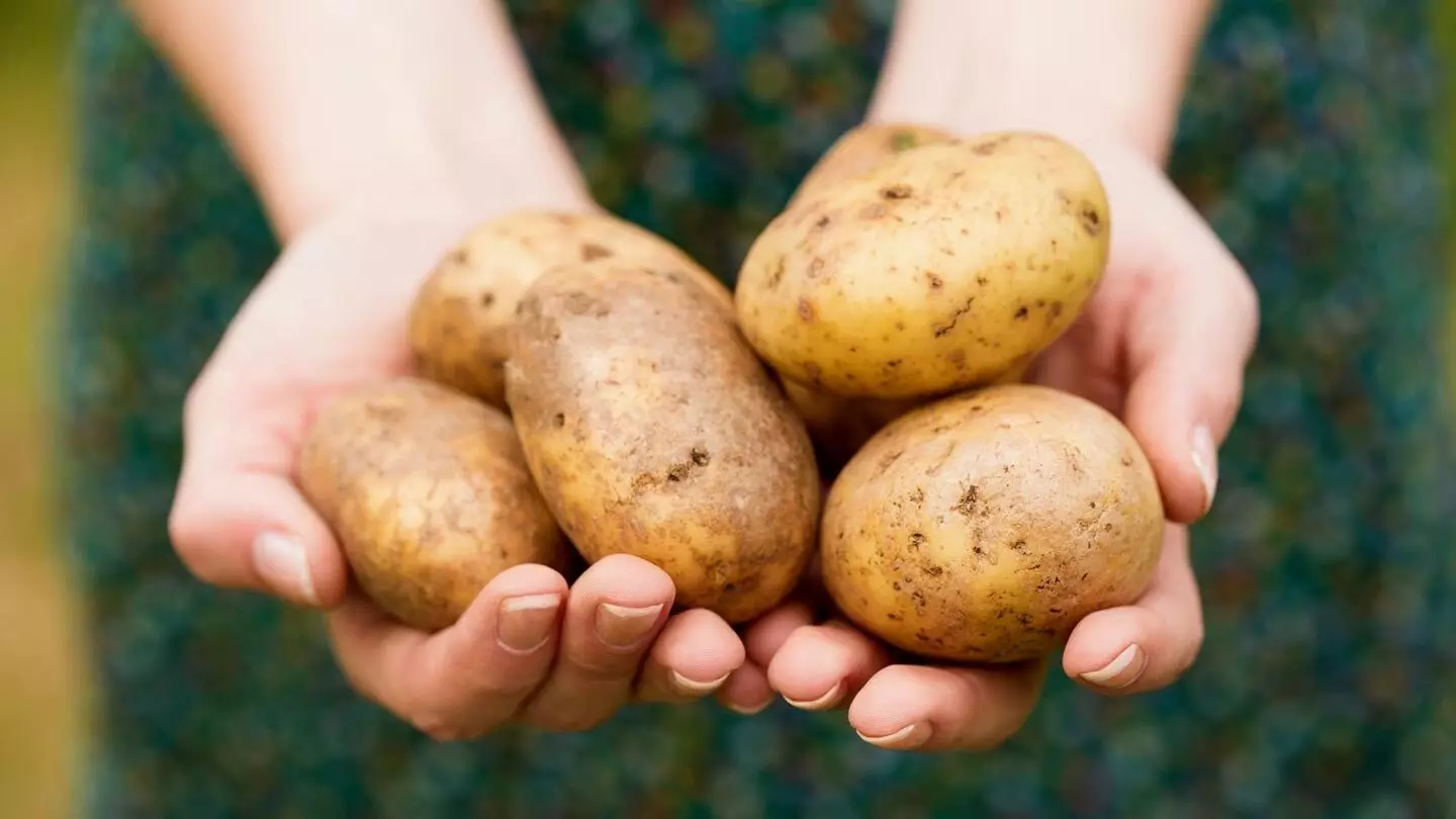 en person som håller i potatis, vilket kan hjälpa till att sänka blodtrycket