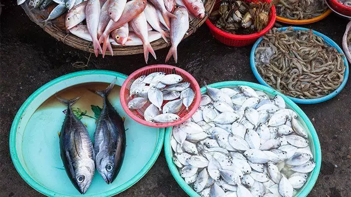 lain-laing klase sa isda sa usa ka fish market