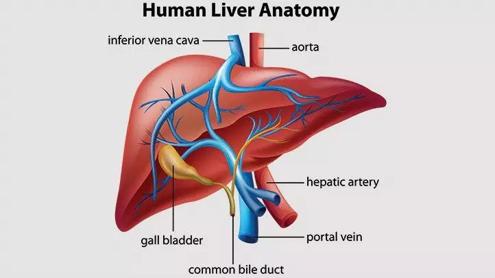 Iyini i-Primary Biliary Cholangitis?