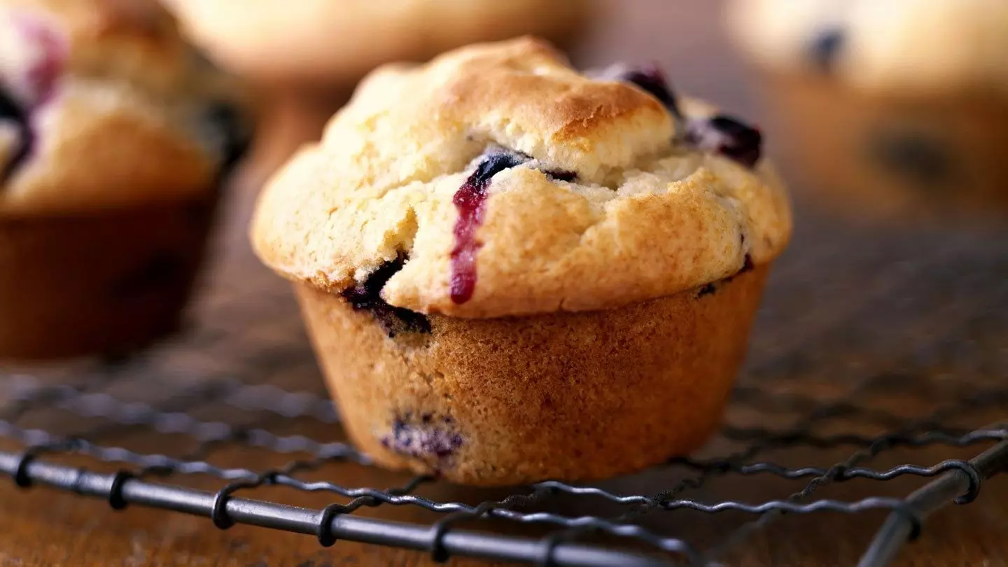 muffin de arándanos