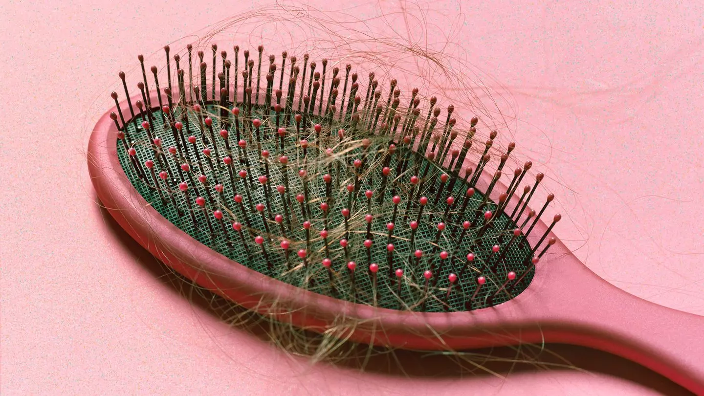 plaub hau nyob rau hauv hairbrush