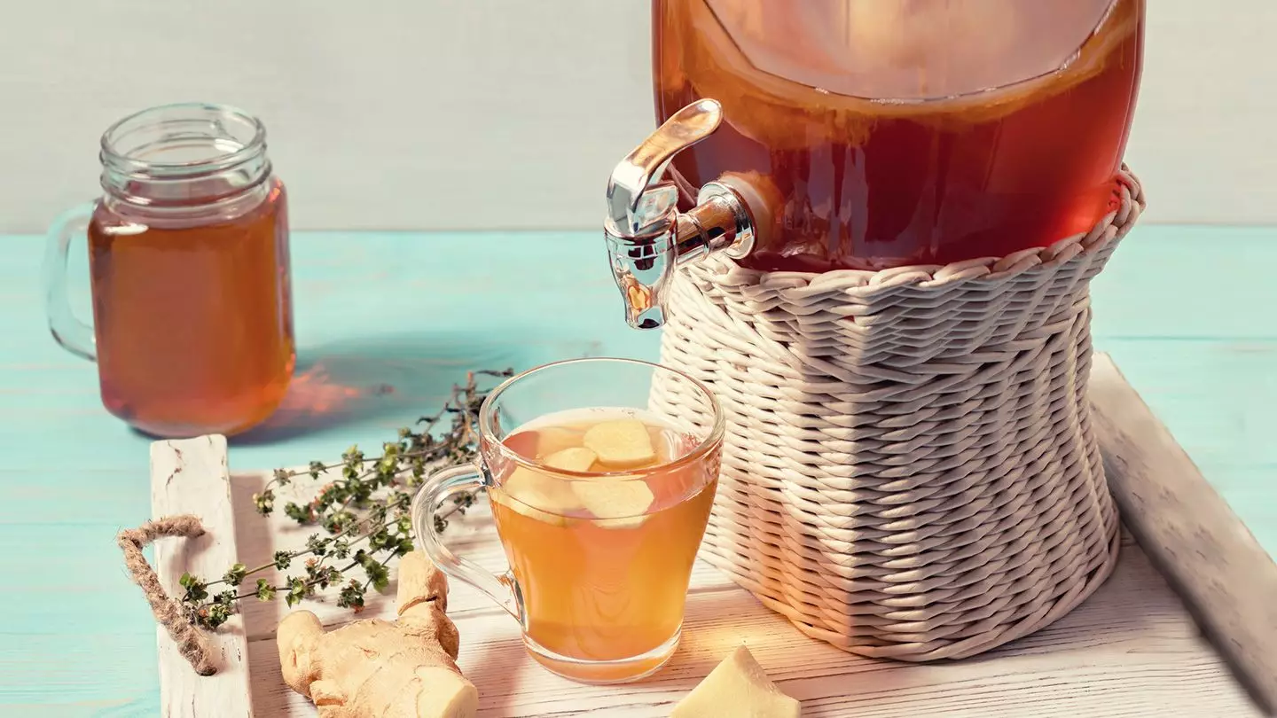 Kombucha-na-ụlọ-ajụjụ-1440x810