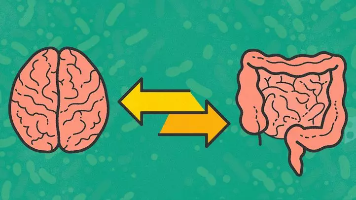 Link Antarane Mikrobioma Usus lan Kesehatan Sampeyan