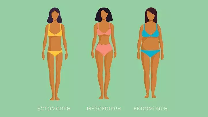 Deiet Math o Gorff: Ydych chi'n Ectomorph, Mesomorph, neu Endomorff?