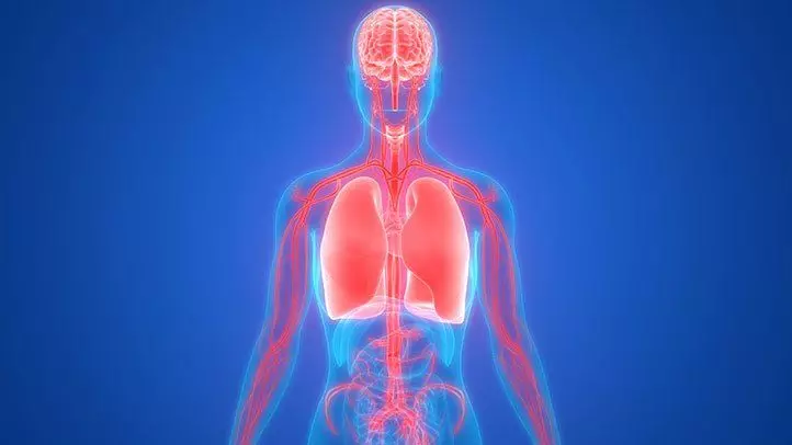 Brain Metastases ဖြင့် အဆုတ်ကင်ဆာအကြောင်း သိကောင်းစရာများ| နေ့စဉ်ကျန်းမာရေး