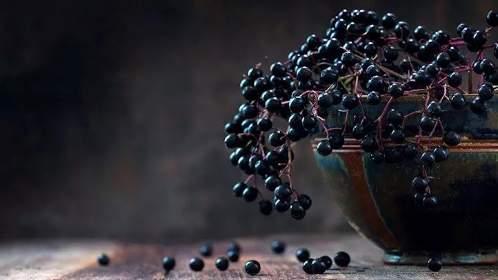 Elderberry څه شی دی؟ روغتیا ګټې، خوراکونه، خطرونه