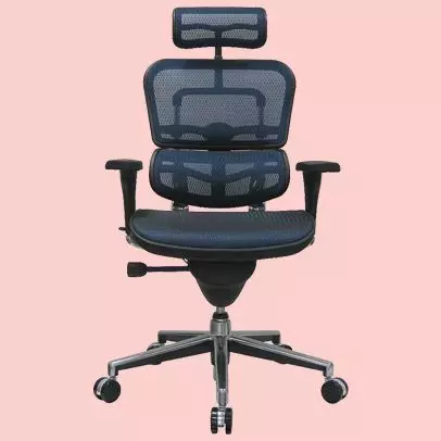 Eurotech Ergohuman Mesh Chair