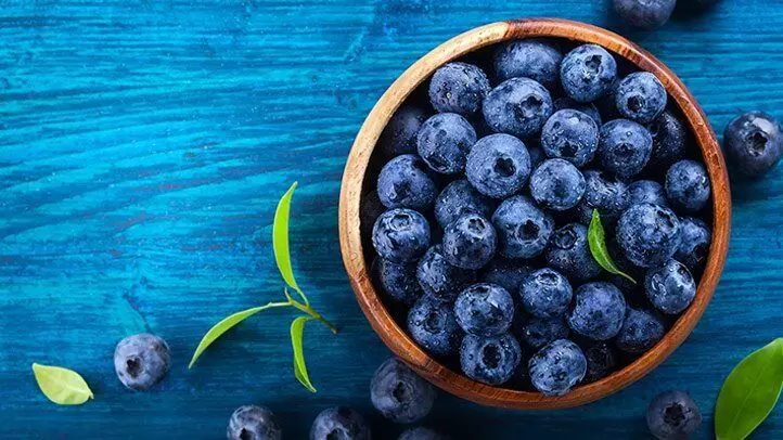 eine Schüssel Blaubeeren