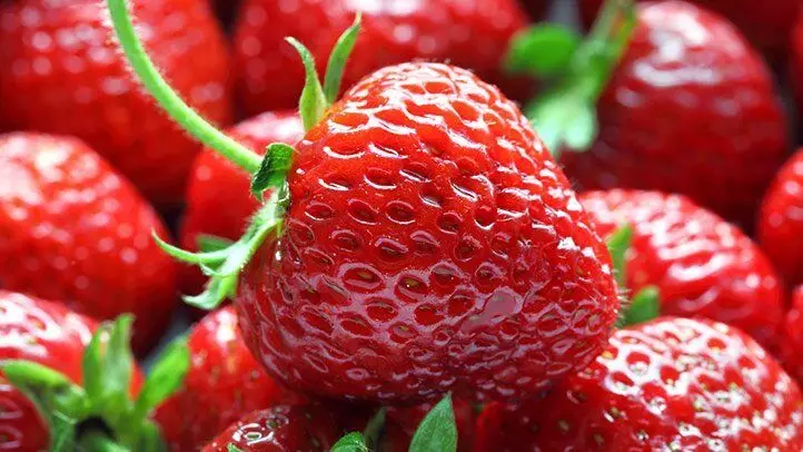 Eine Tasse Erdbeeren, 100-Kalorien-Snack