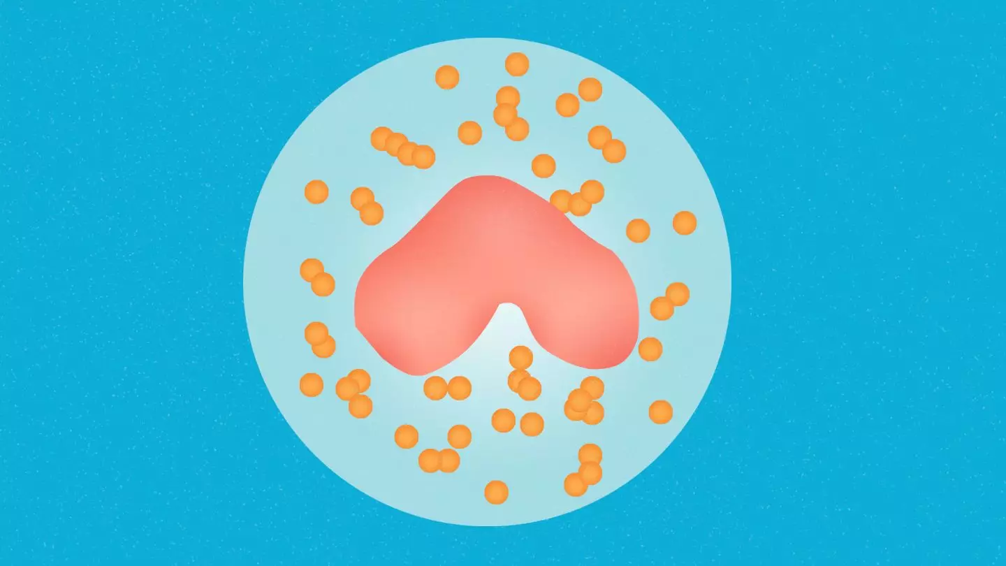 Apakah Eosinophilic Esophagitis (EoE)? Gejala, Punca, Diagnosis dan Rawatan