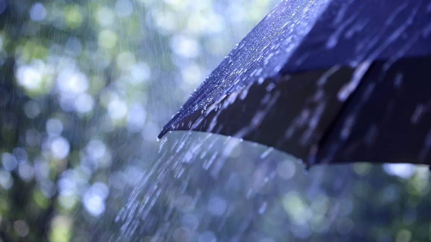 傘と雨