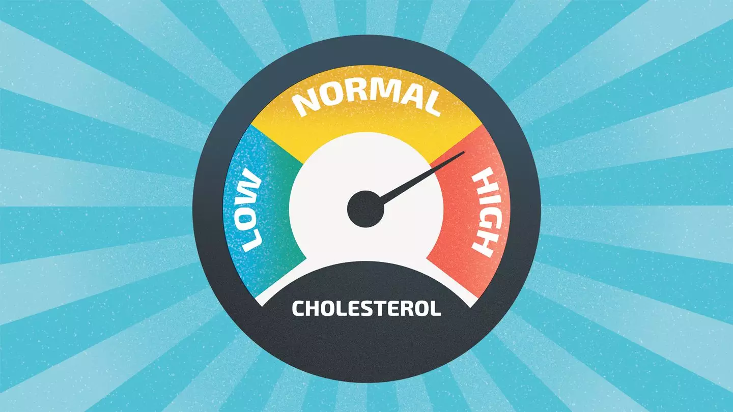 heech cholesterol meter yllustraasje