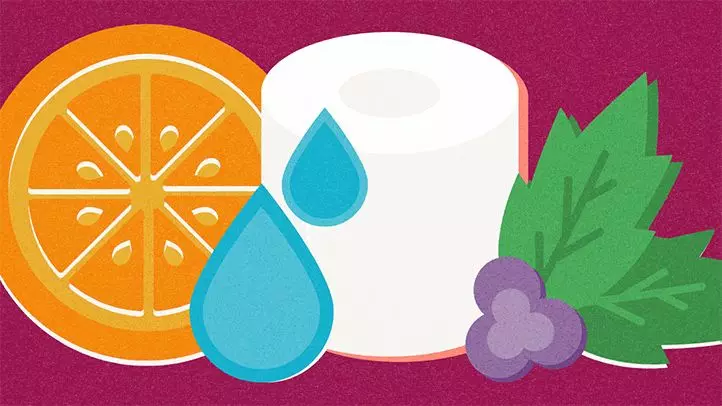 ilustración de naranja, cítricos, vitamina c, hidratación, vaciado de vejiga, papel higiénico, hoja de bearberry, uva ursi