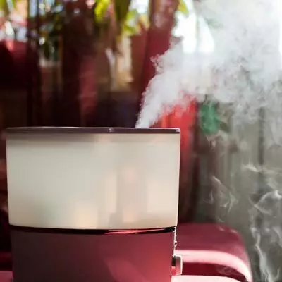 Để Máy tạo độ ẩm Humidifier